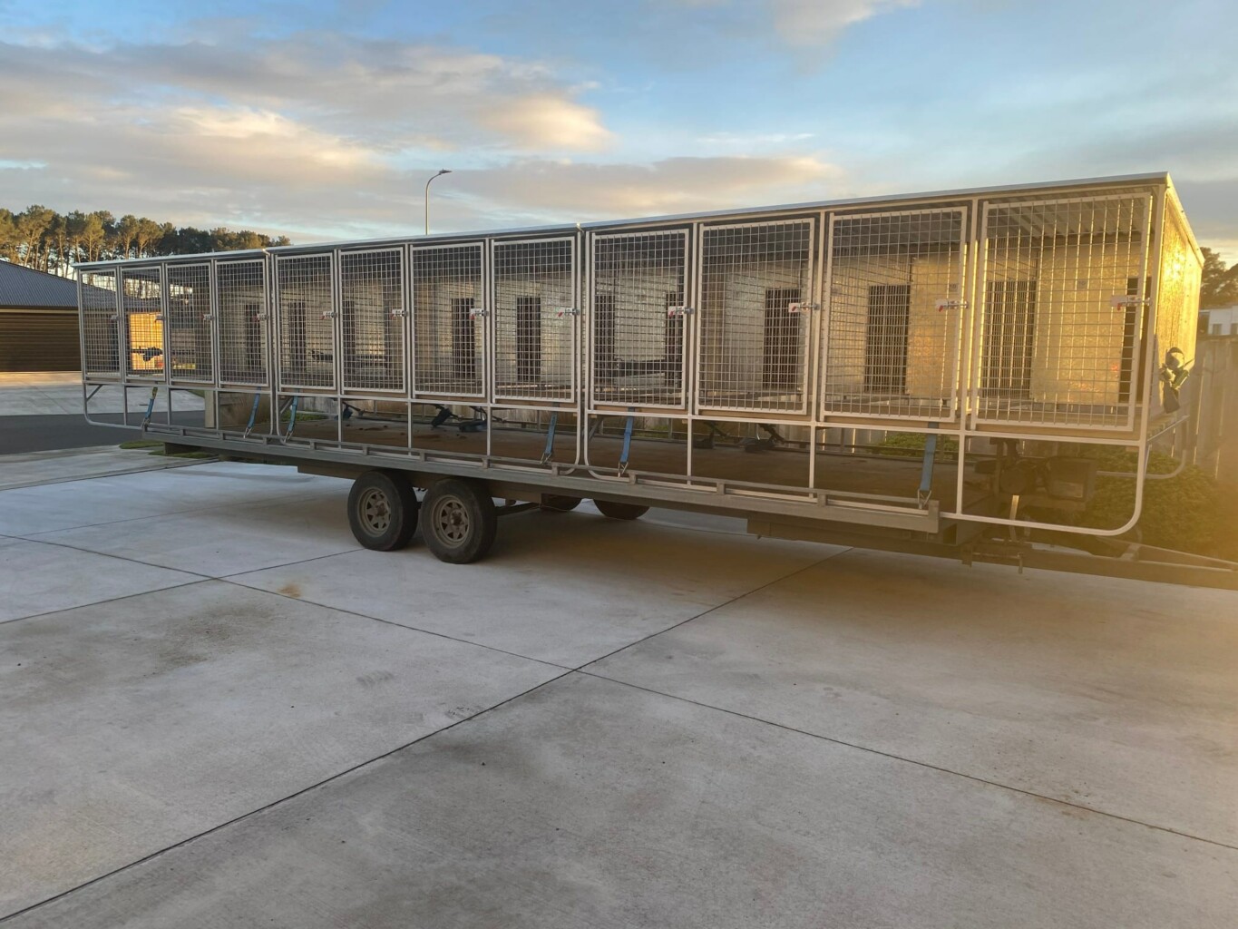 Why You Should Invest In A High-Quality Farm Dog Kennel - DAMEL